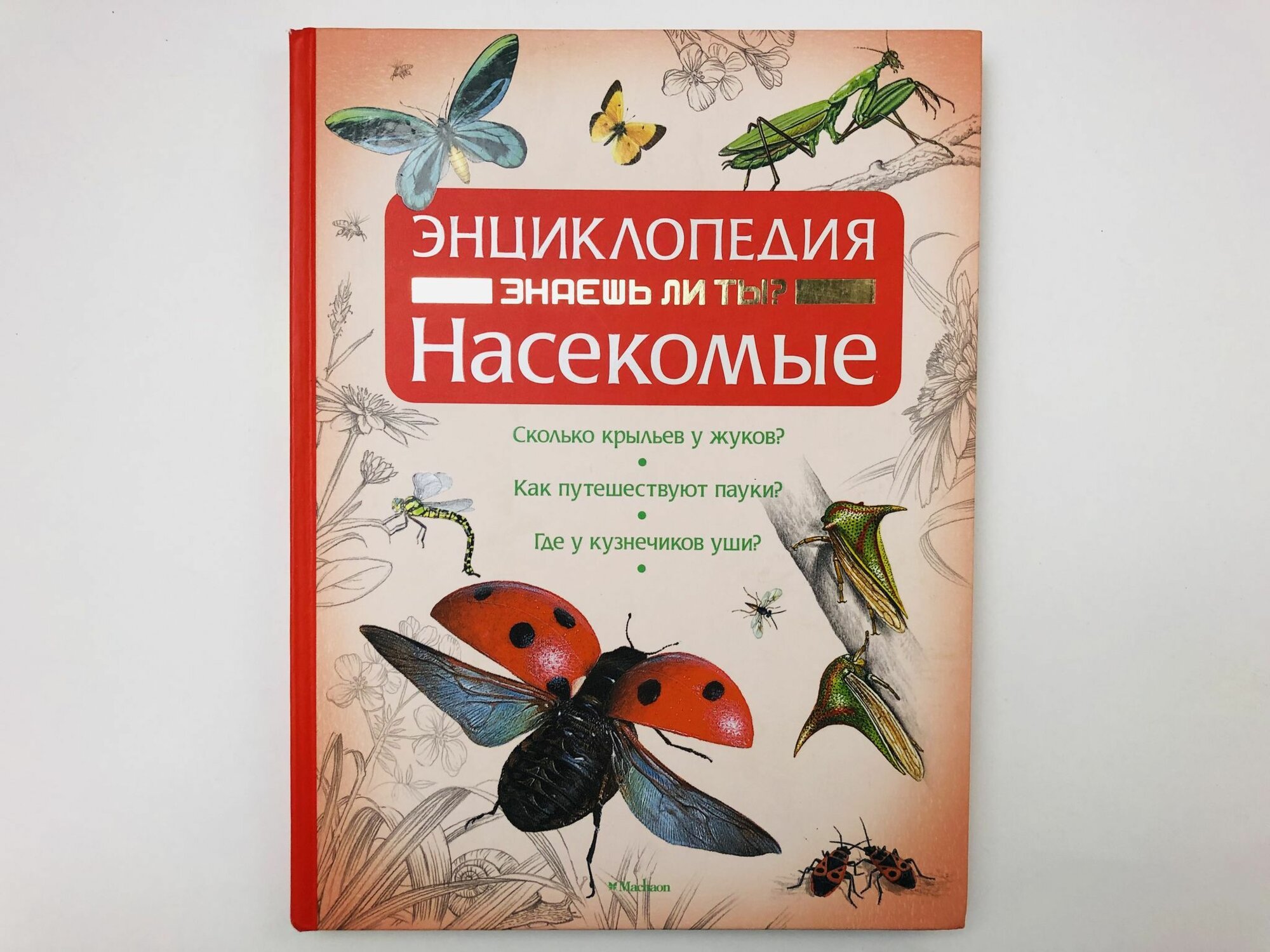 Насекомые. Энциклопедия. Знаешь ли ты?