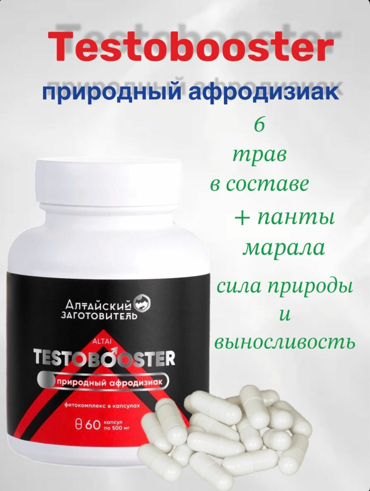 Тестобустер Фитокомплекс, 60 капсул - Алтайский заготовитель