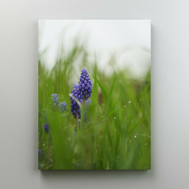 Интерьерная картина на холсте "Полевые фиолетовые цветы" размер 30x40 см