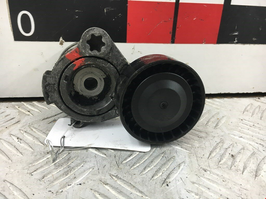 Натяжитель ремня генератора (приводного поликлинового ремня Chevrolet Epica 1 (V250) 96440419 арт. 1573629