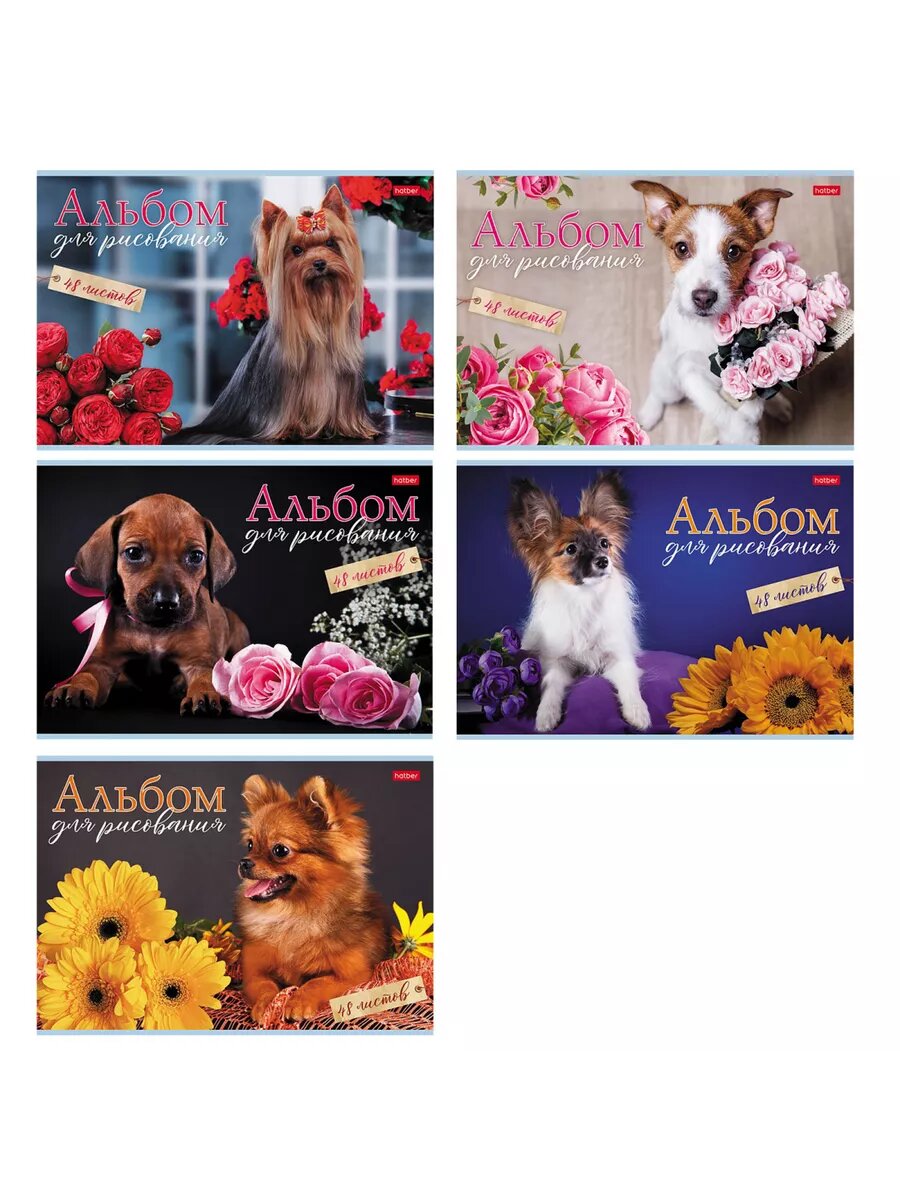 Альбом для рисования Hatber, формат А4, 48 листов, 100 г/кв. м