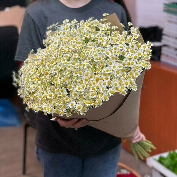 Букет Well Flowers "Ромашковый", круглый, 25 штук, 50см, на стеблях, букет свежих цветов