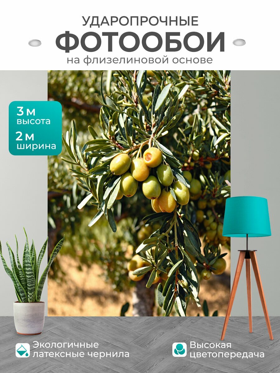 Фотообои моющиеся ударопрочные на кухню "С атмосферой оливковых рощ и традиционной кухни" 200x300 см. флизелиновые на стену