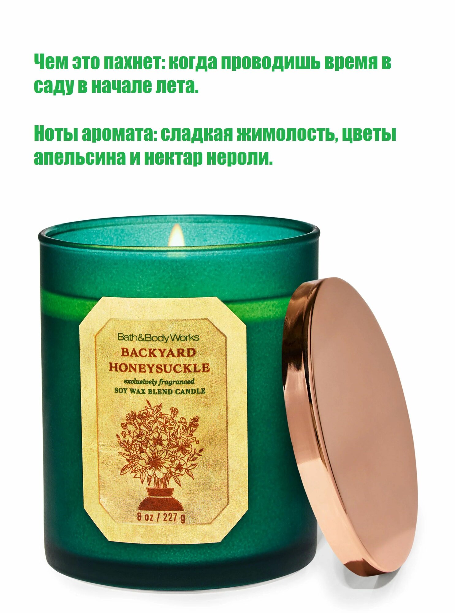 Bath And Body Works ароматическая свеча с 1 фитилем Backyard Honeysuckle (227грамм)