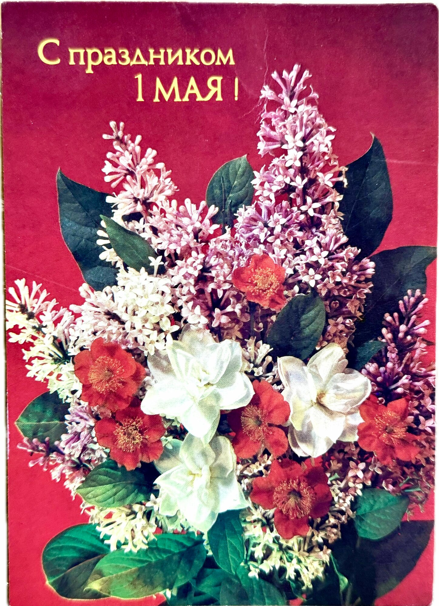 С праздником 1 МАЯ! (Фото И. Дергилева)