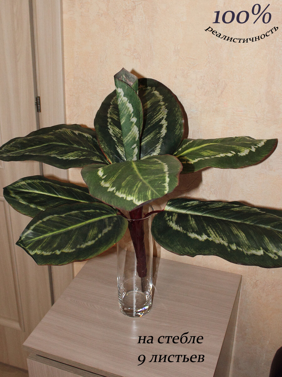 Искусственное растение Holodilova "Калатея", текстиль, красное/бордовое, 30х30х60 см