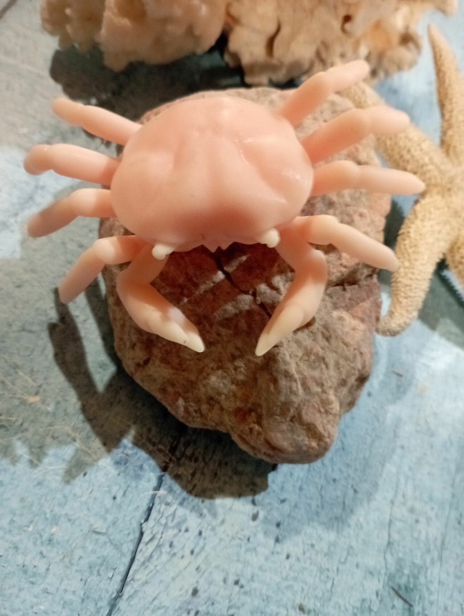 Декорации для аквариума краб