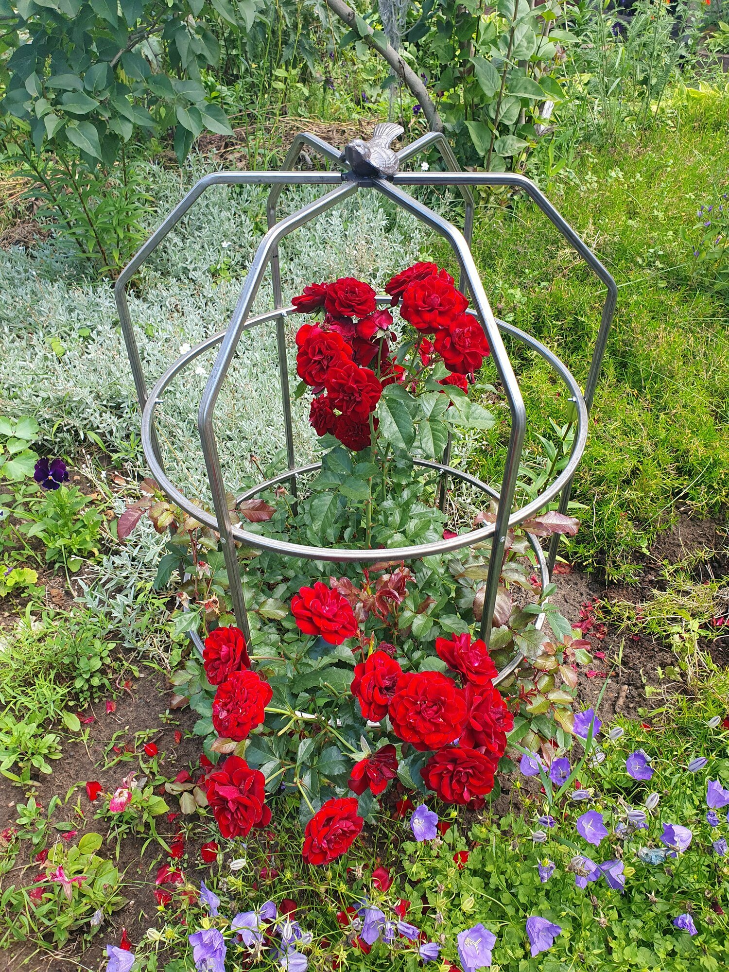 Опора Клетка с птичкой для растений пионов и роз. Высота 87см, диаметр 55см. Не окрашена.