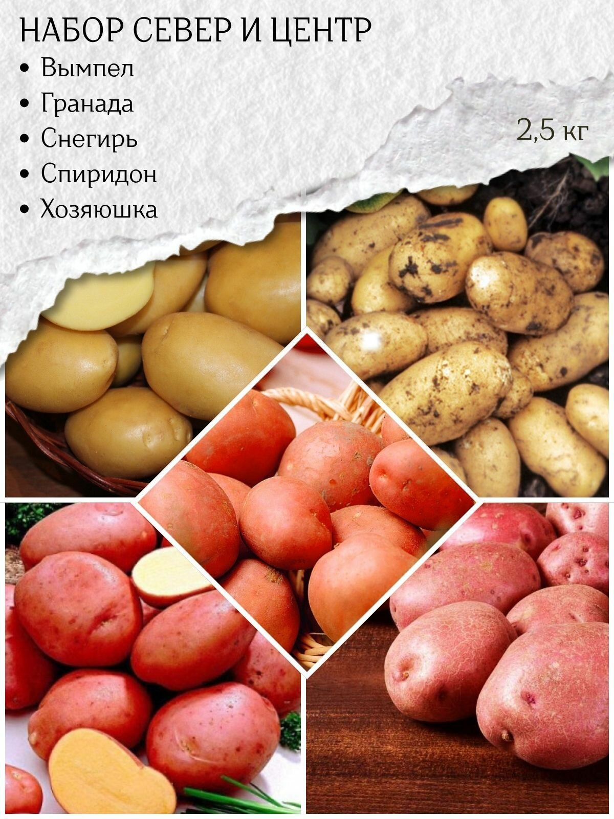 Набор картофеля из 5 сортов "Север и Центр" (белый, красный)