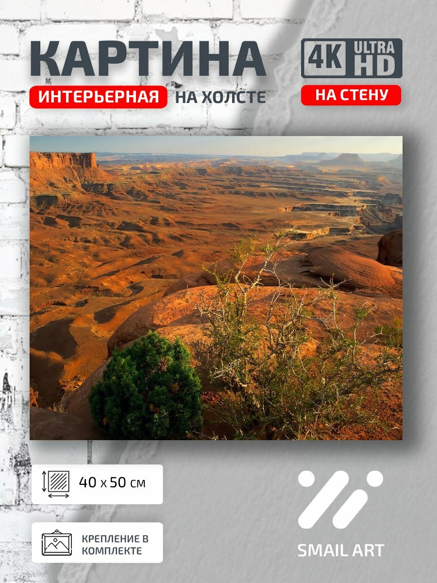 Картина на холсте интерьерная 40 на 50 на стену Красная Landscape для гостиной пейзаж декор