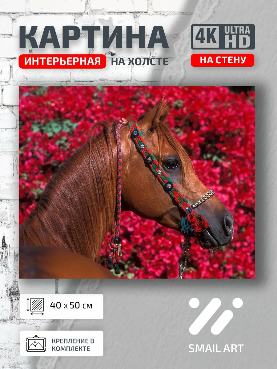 Картина на холсте интерьерная 40 на 50 на стену Цветах Animal для кафе animal style декор