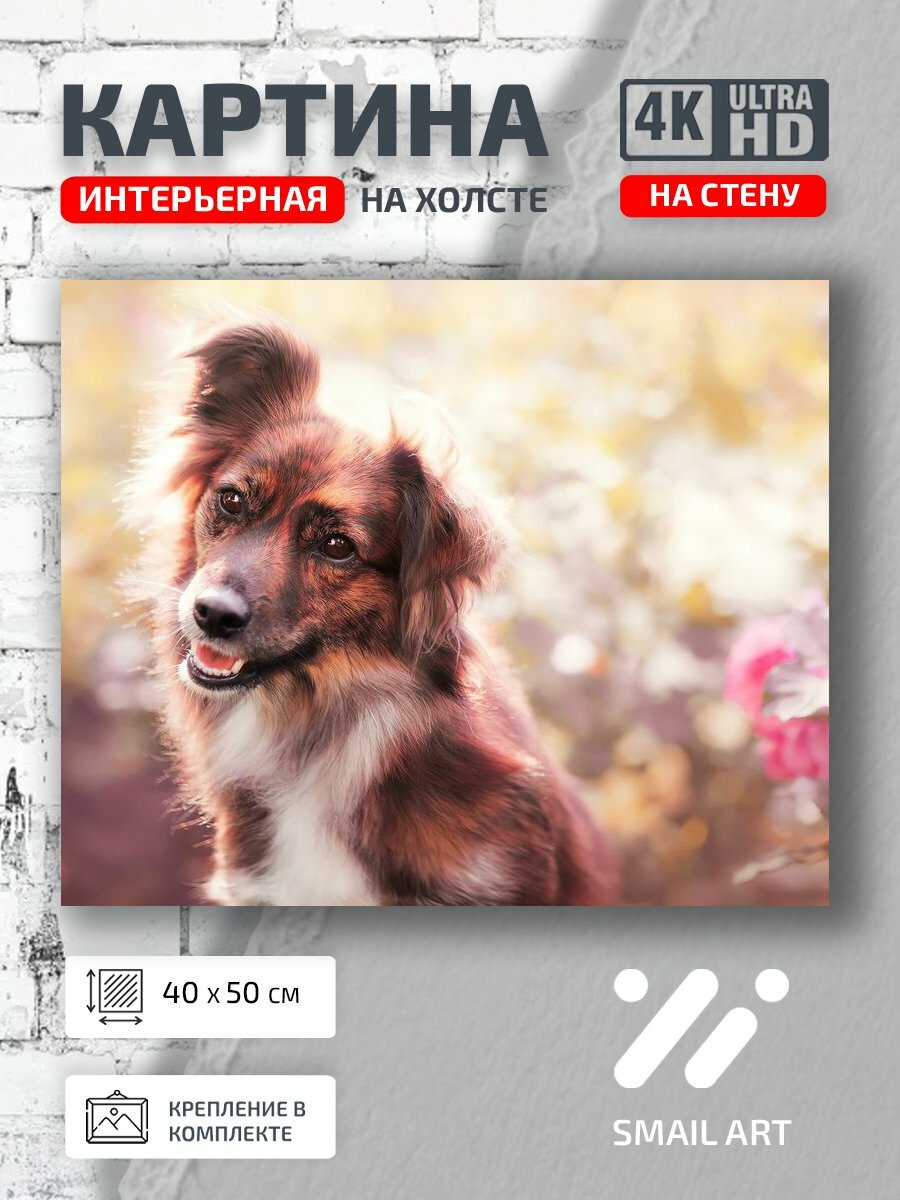 Картина на холсте интерьерная 40 на 50 на стену Пес dog для кабинета animal style интерьер