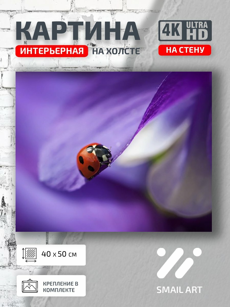 Картина на холсте интерьерная 40 на 50 на стену Цветок Landscape для кафе пейзаж интерьер