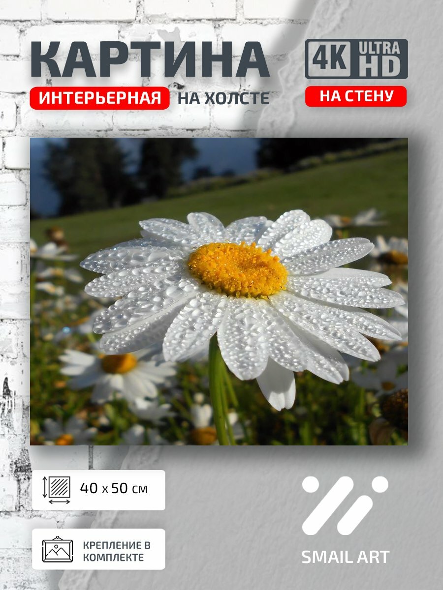 Картина на холсте интерьерная 40 на 50 на стену Поляна Mood для гостиной атмосфера интерьер