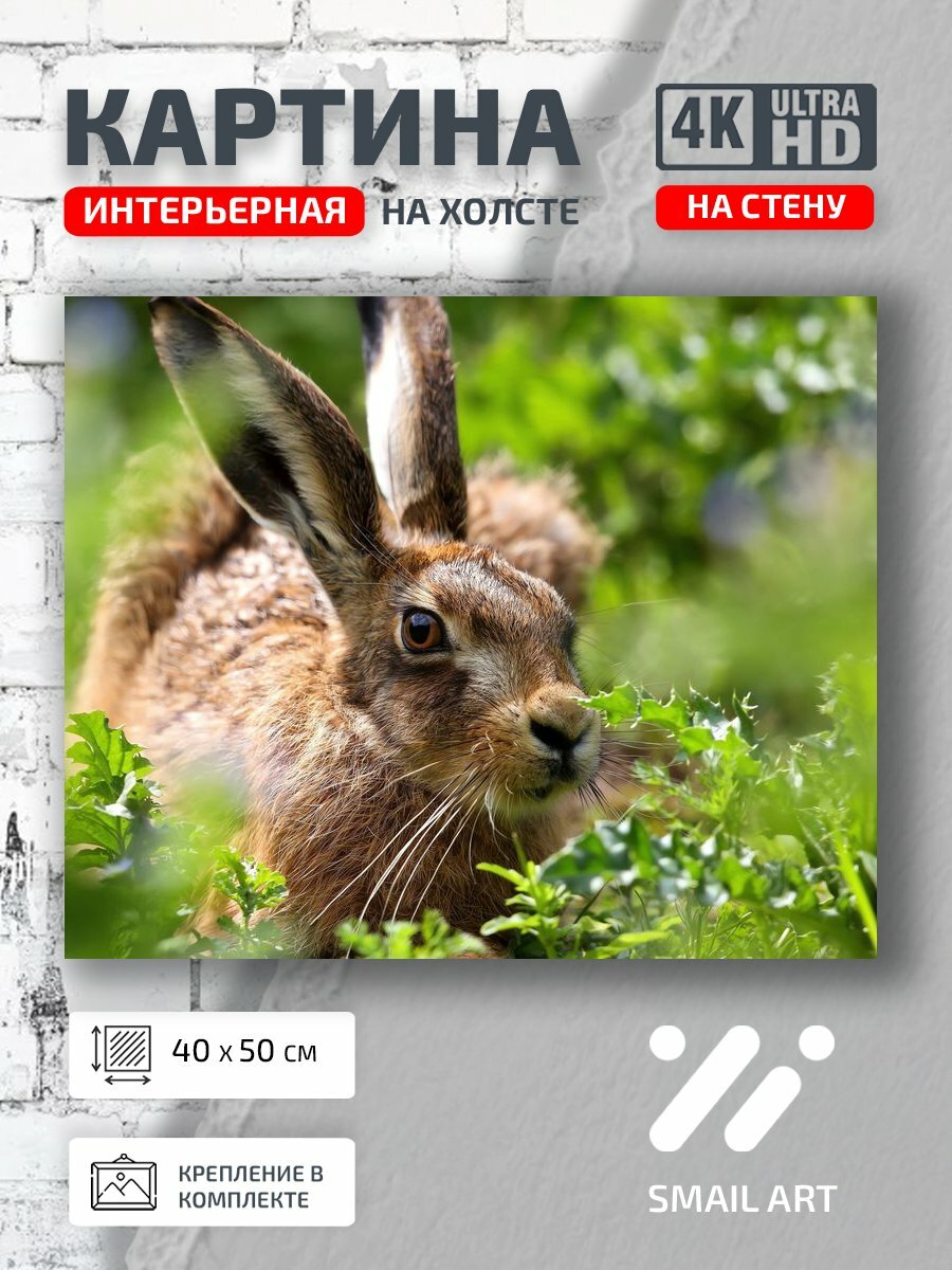 Картина на холсте интерьерная 40 на 50 на стену Заяц hare для спальни пейзаж интерьер декор