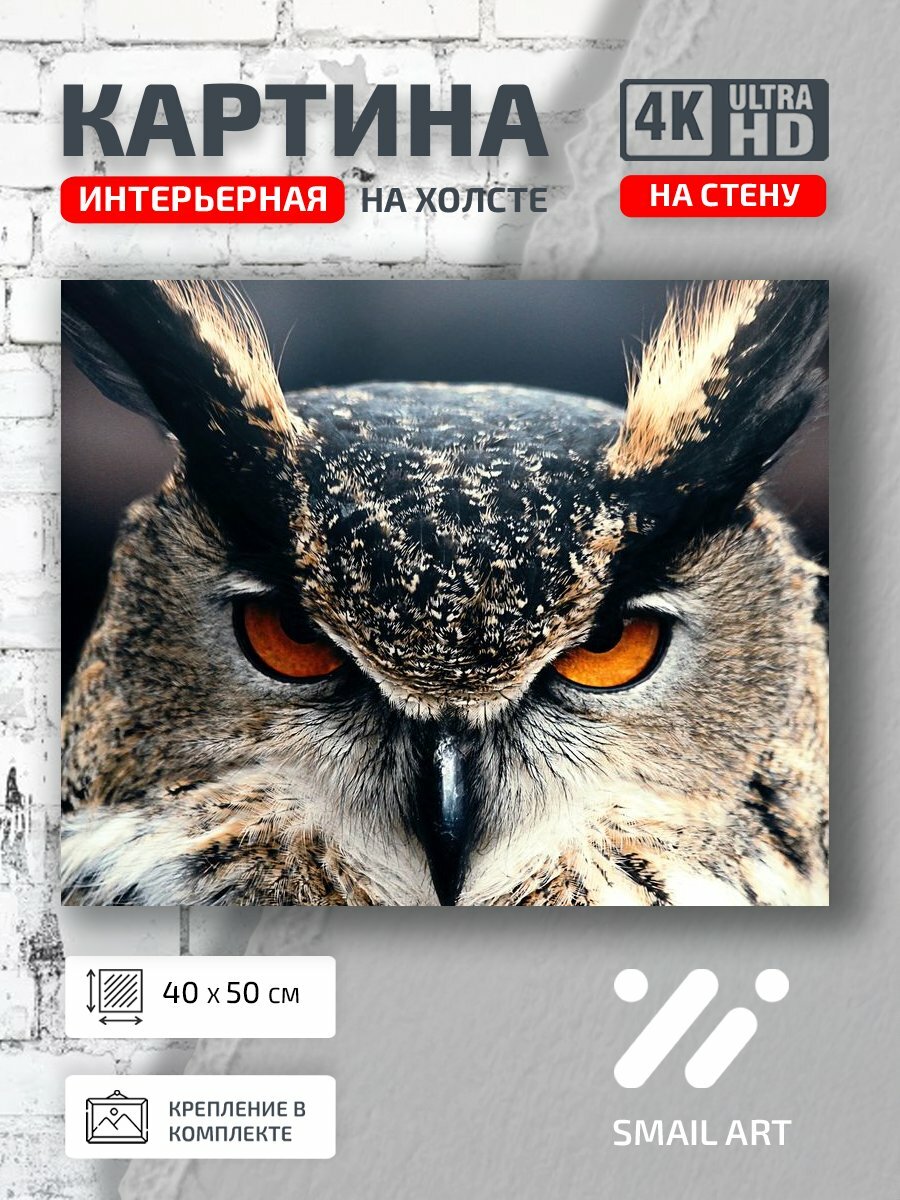 Картина на холсте интерьерная 40 на 50 на стену Перья Animal для кафе animal style интерьер
