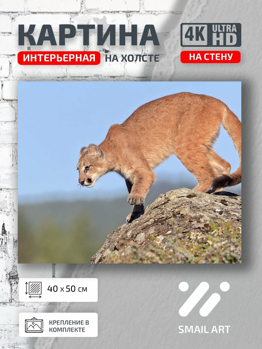 Картина на холсте интерьерная 40 на 50 на стену Скала Landscape для кабинета пейзаж декор