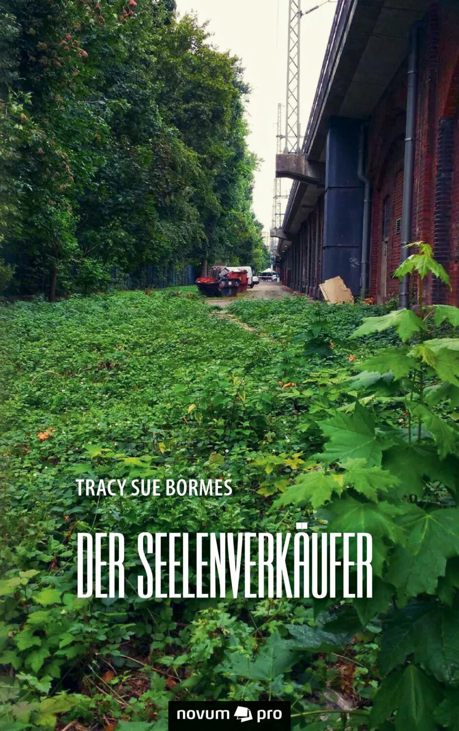Der Seelenverkäufer [Цифровая книга]