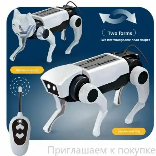 Игрушка радиоуправляемая