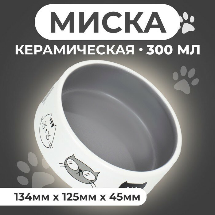 Миска керамическая "Четыре кота" 300 мл 12,5 x 4,5 cм, бело-серая, 9942205