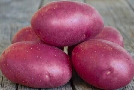 Семенной картофель Кармен 10 кг