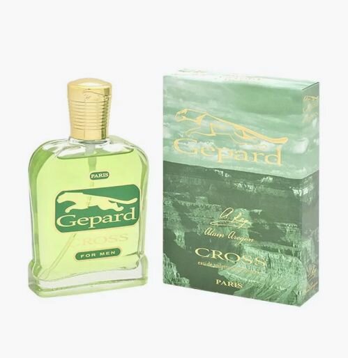 Туалетная вода Positive Parfum GEPARD CROSS 95ml для мужчин