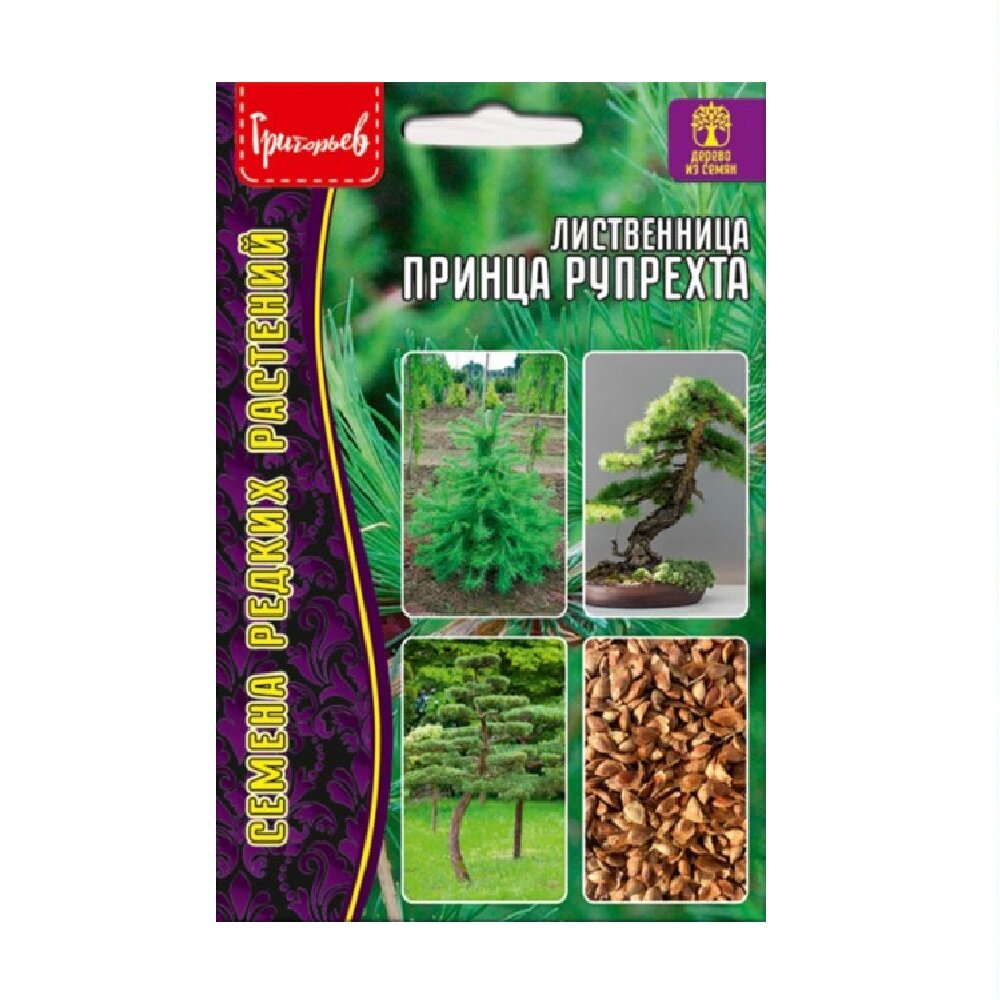 Семена Лиственницы Принца Рупрехта (15 семян)