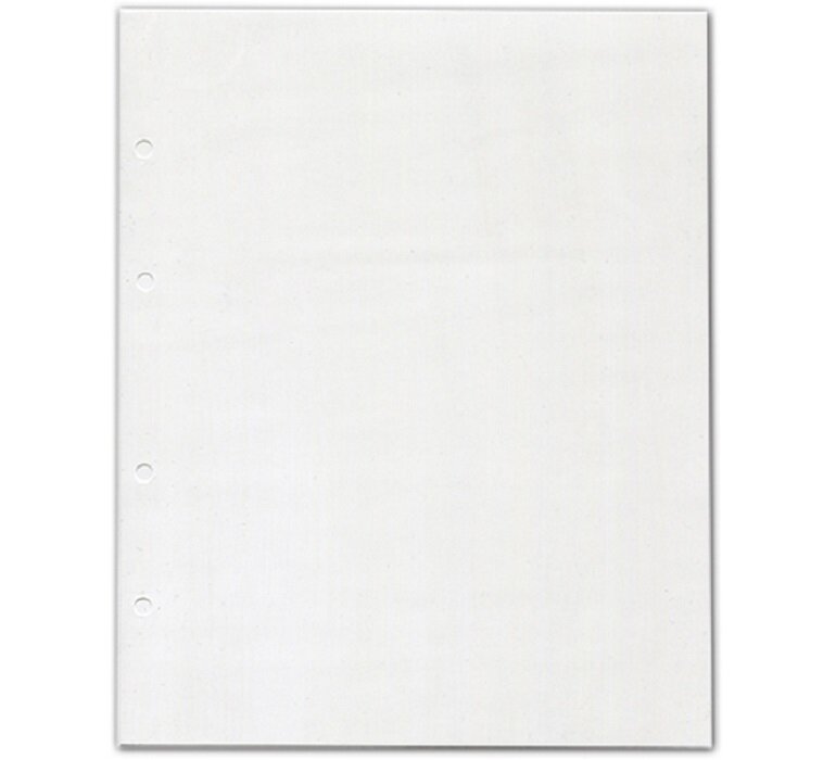 Комплект из 10 листов "стандарт", белых разделительных. 250х310 мм. Формат "GRAND", размер 250х310 мм. Альбомов