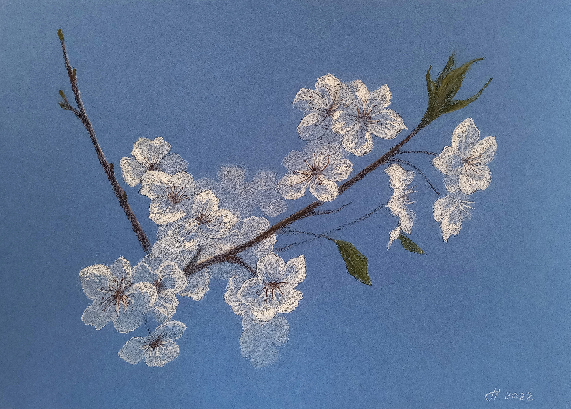 Ветка яблони • Интерьерная картина пастелью • Ручная работа • Весенние цветы