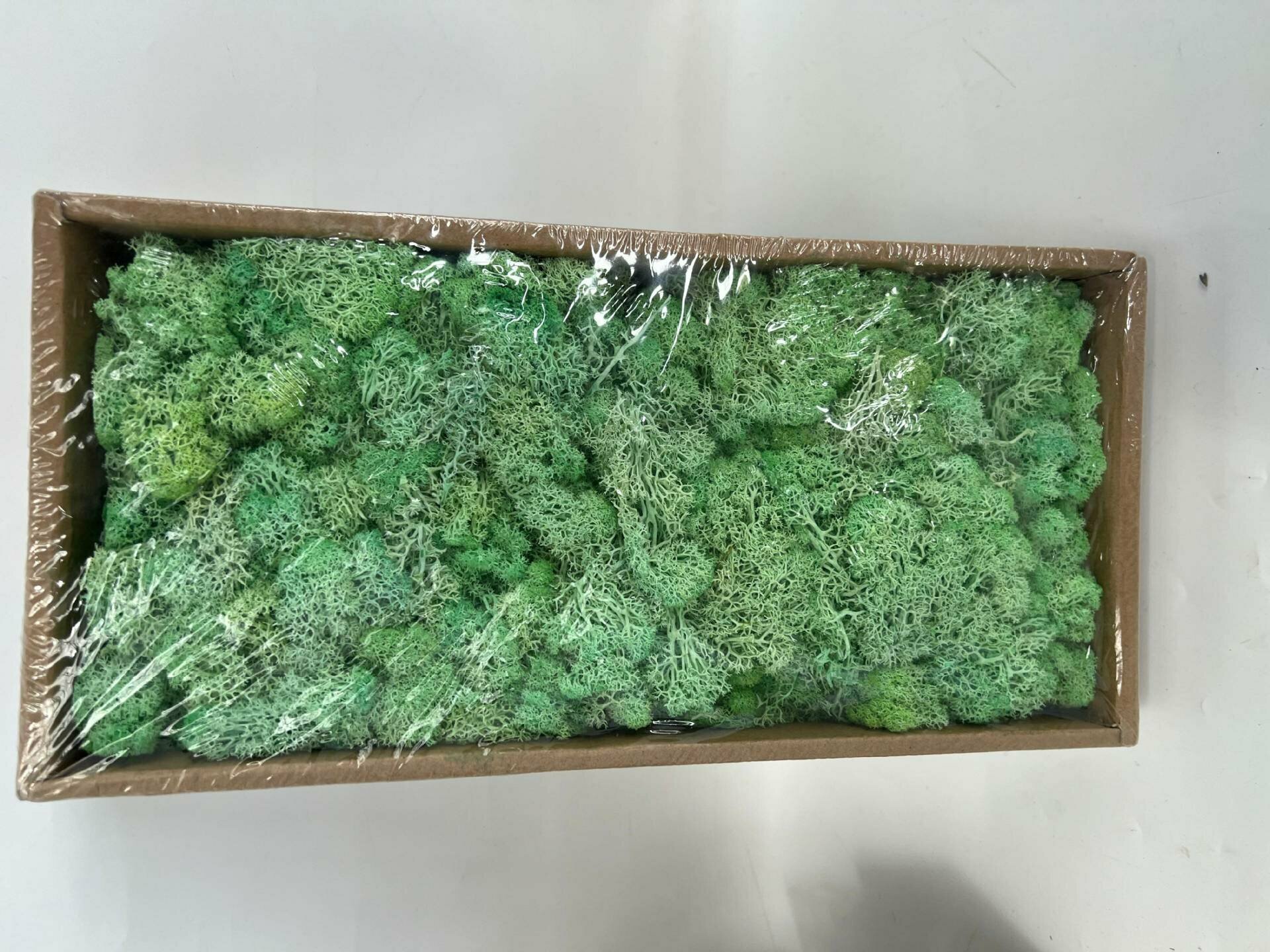 Вечный мох Grass of Dreams mzchc-0035, искусственный, светло-зелёный, в штучной упаковке