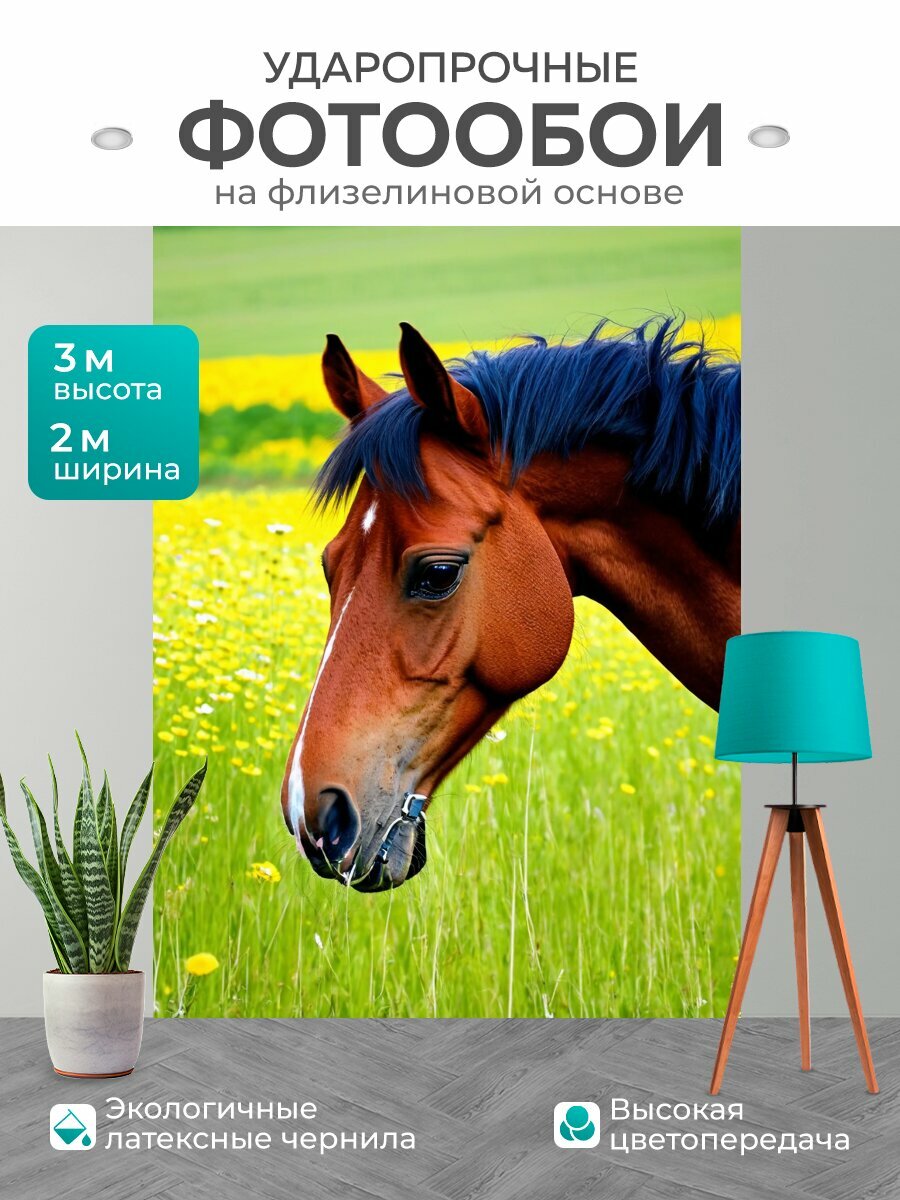 Фотообои моющиеся ударопрочные "Лошадь, увлеченно сосредоточенная на траве, рядом с ней цветущий луг" 200x300 см. флизелиновые на стену