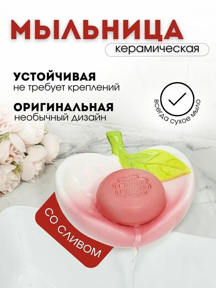 Мыльница