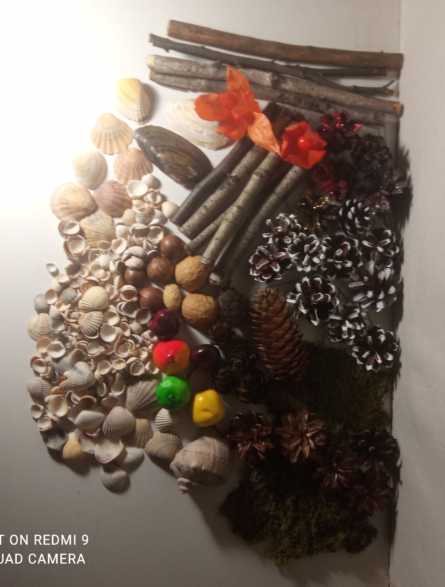 Набор из природных материалов для творчества собранные вручную