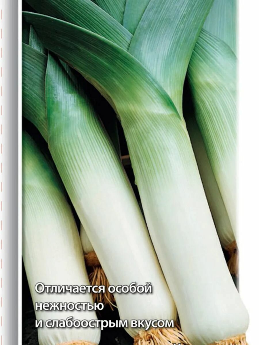 Лук Порей Карантанский 1 г, Семена Поиск