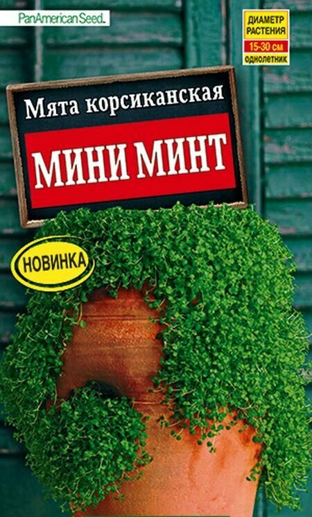 Мята корсиканская Мини Минт