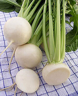 Семена репы Снежный шар (1 гр.)