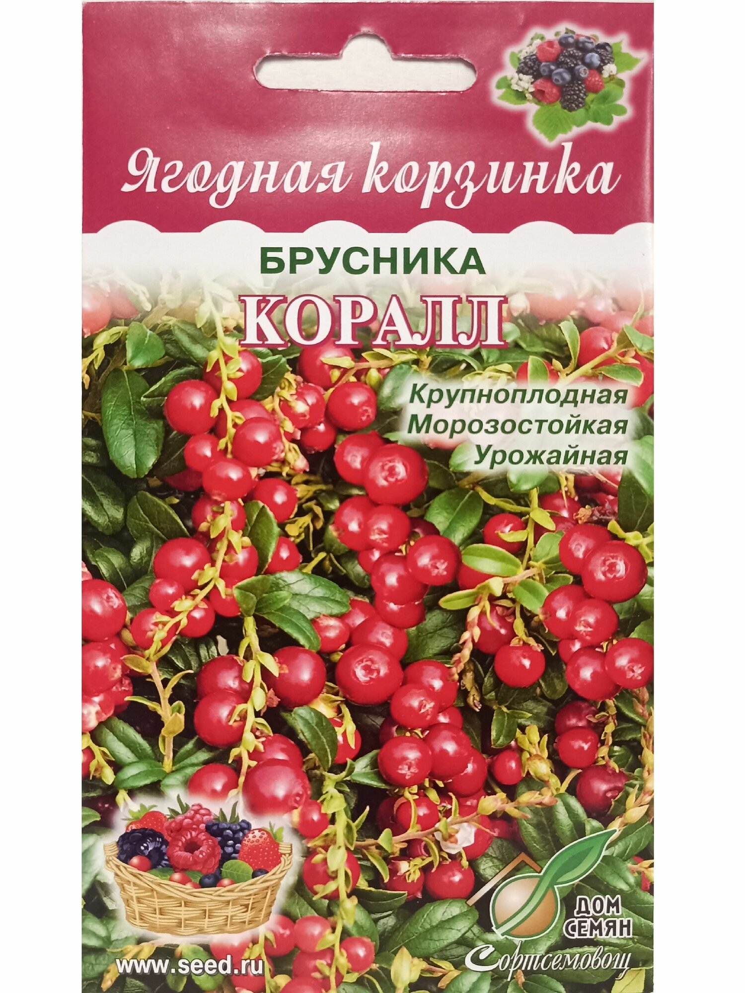 Брусника Коралл семена крупноплодная морозостойкая урожайная, 20 семян