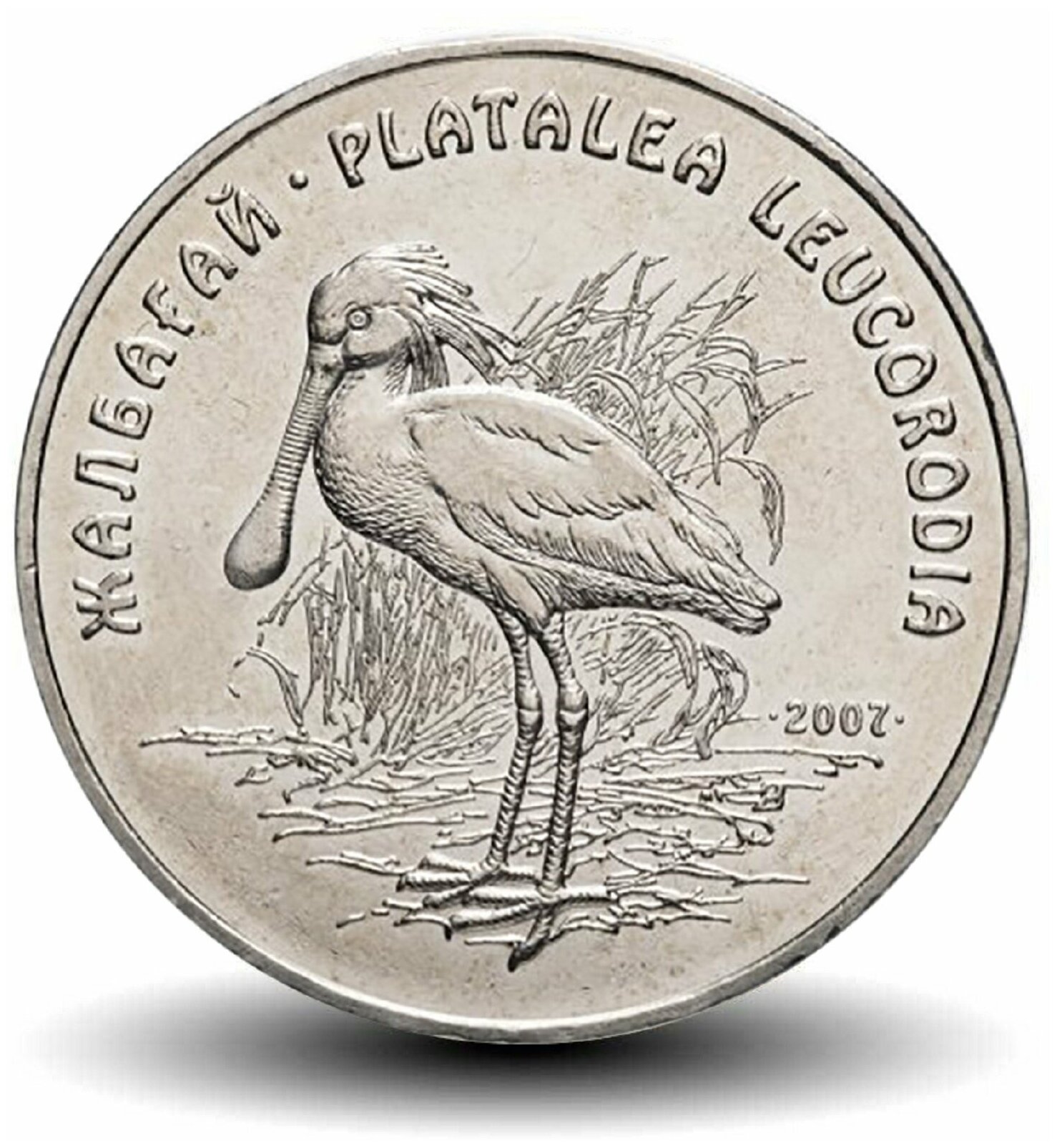50 тенге 2007 года Колпица. Казахстан