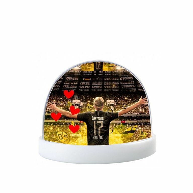 Водяной шар Эрлинг Холанн, Erling Haaland №2