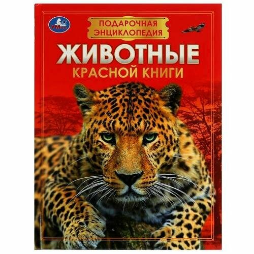 Энц(Умка)(тв) ПодарочнаяЭнц Животные Красной книги