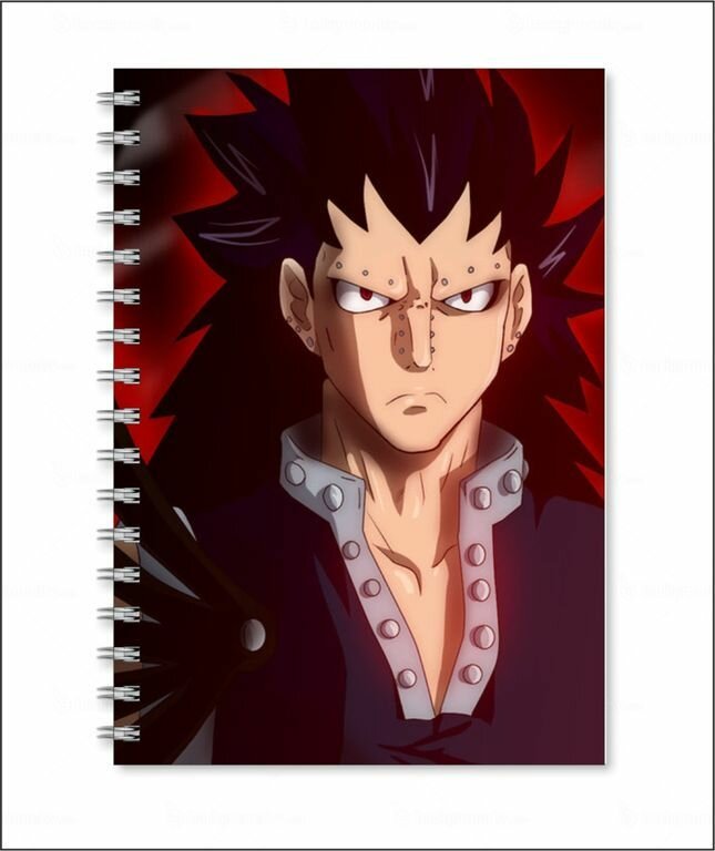 Тетрадь Хвост Феи, Fairy Tail №1