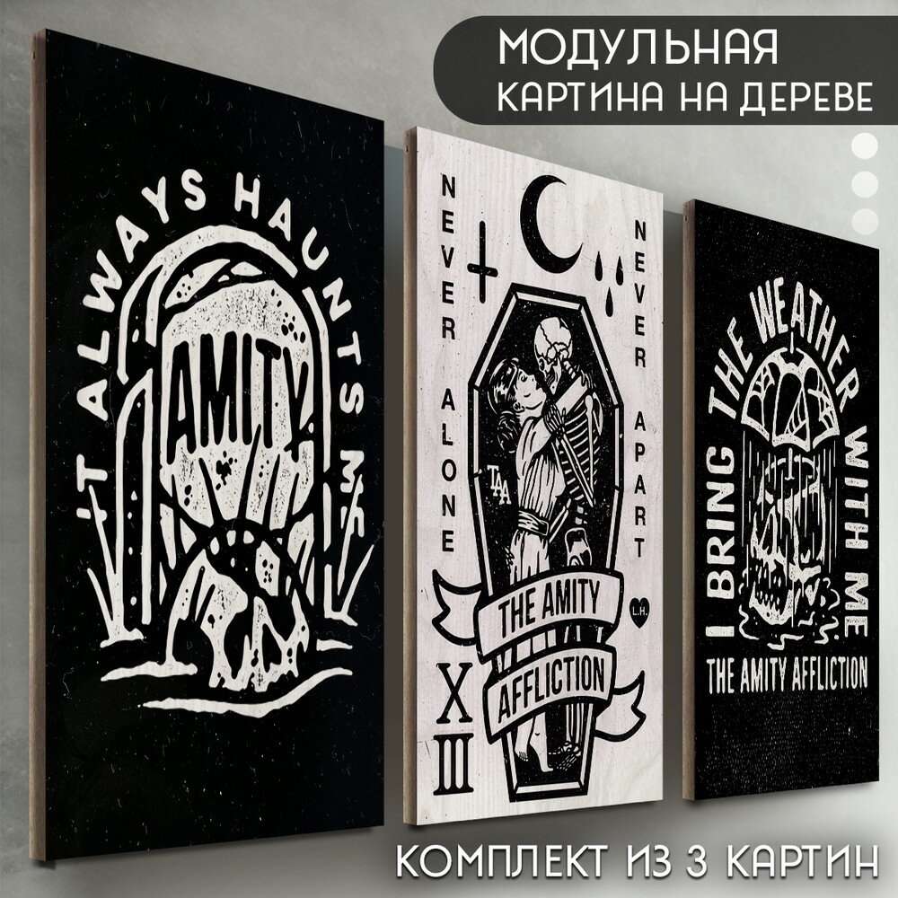 Модульная картина на дереве "музыка The Amity Affliction (Эмити Эфлэшен, металкор, Джоэл Бёрч, рок, металл, панк) - 6115"