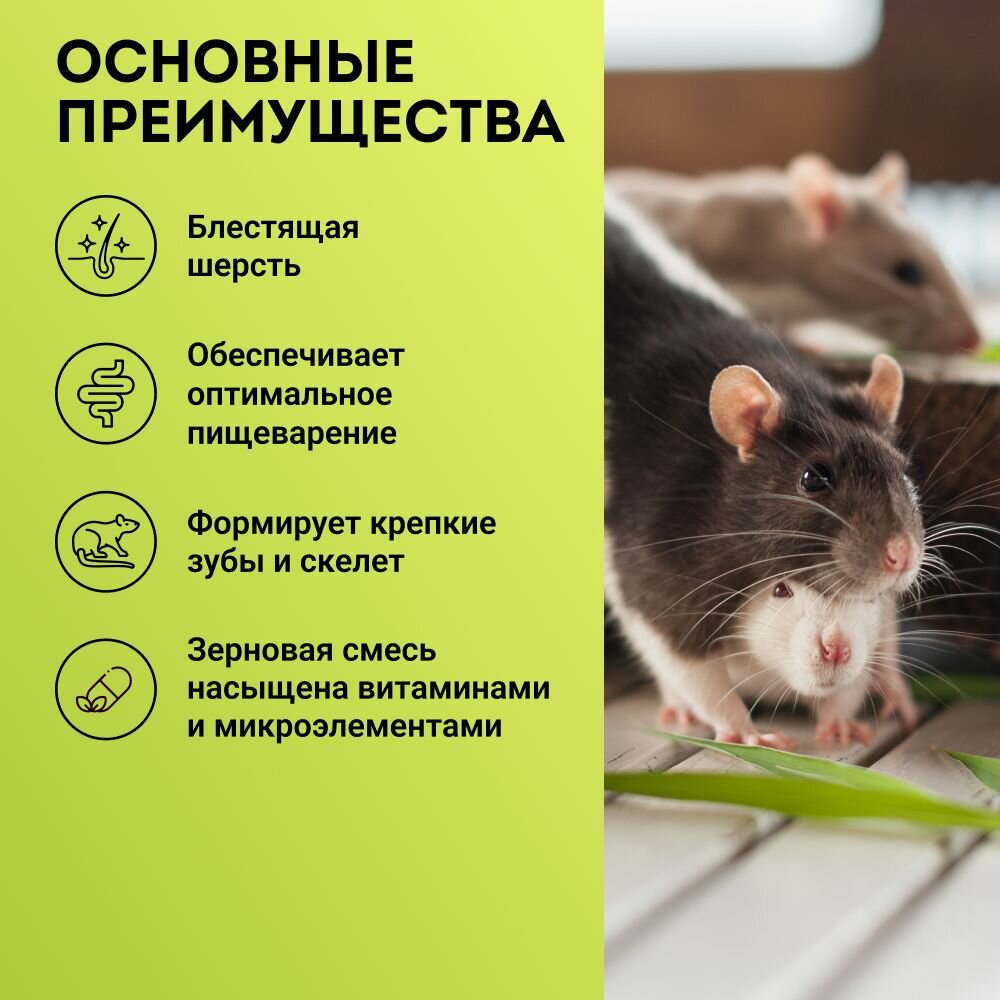 GRUMS Корм для крыс 400г — фото 1