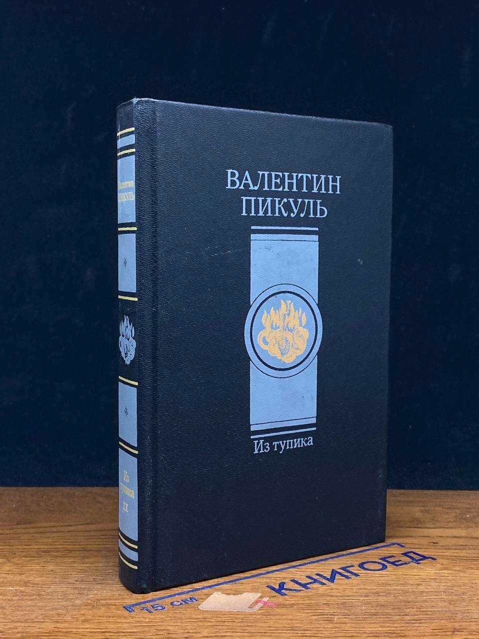 Книга. Из тупика. Том 2. Кровь на снегу 1993 (2042790583279)