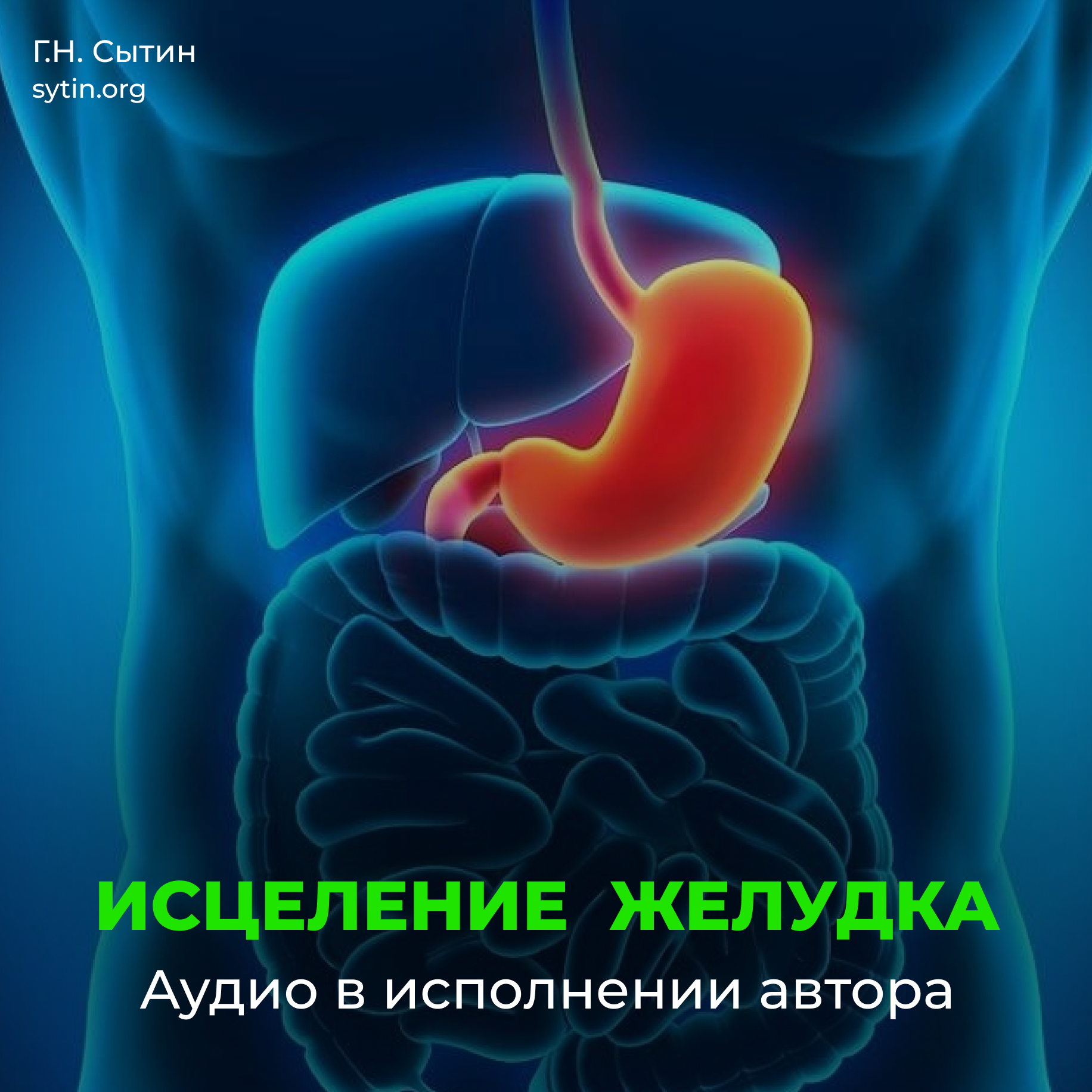 Исцеление омоложение желудка кишечника, Георгий Николаевич. Сытин MP3