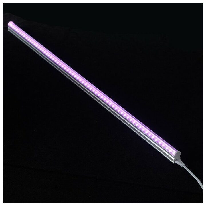 Фитосветильник для растений Luazon, светодиодный, 10 Вт, 600 мм, IP20, 220 В, мультиспектральный