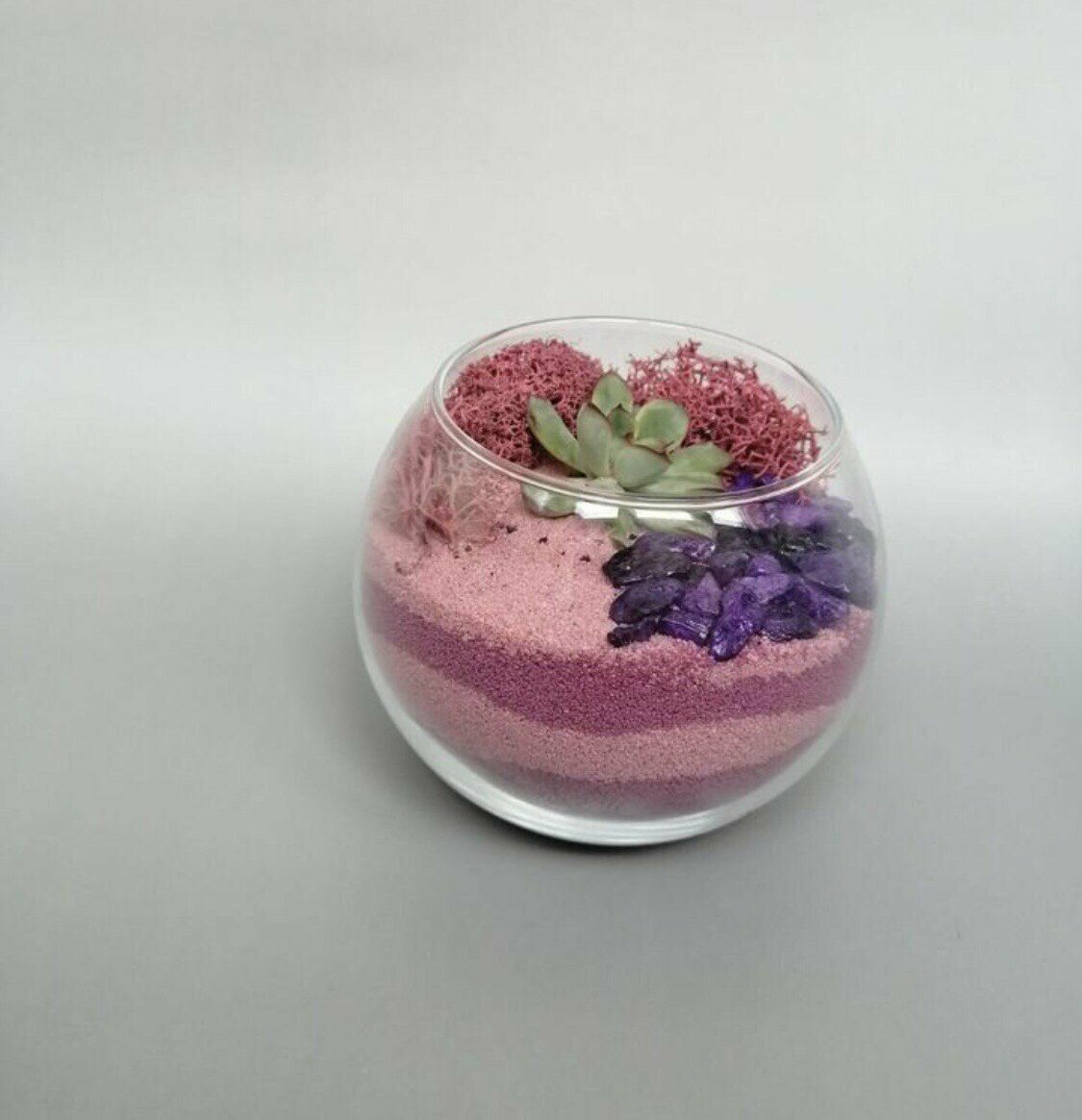 Флорариум в вазе / Комнатное растение / Подарок маме