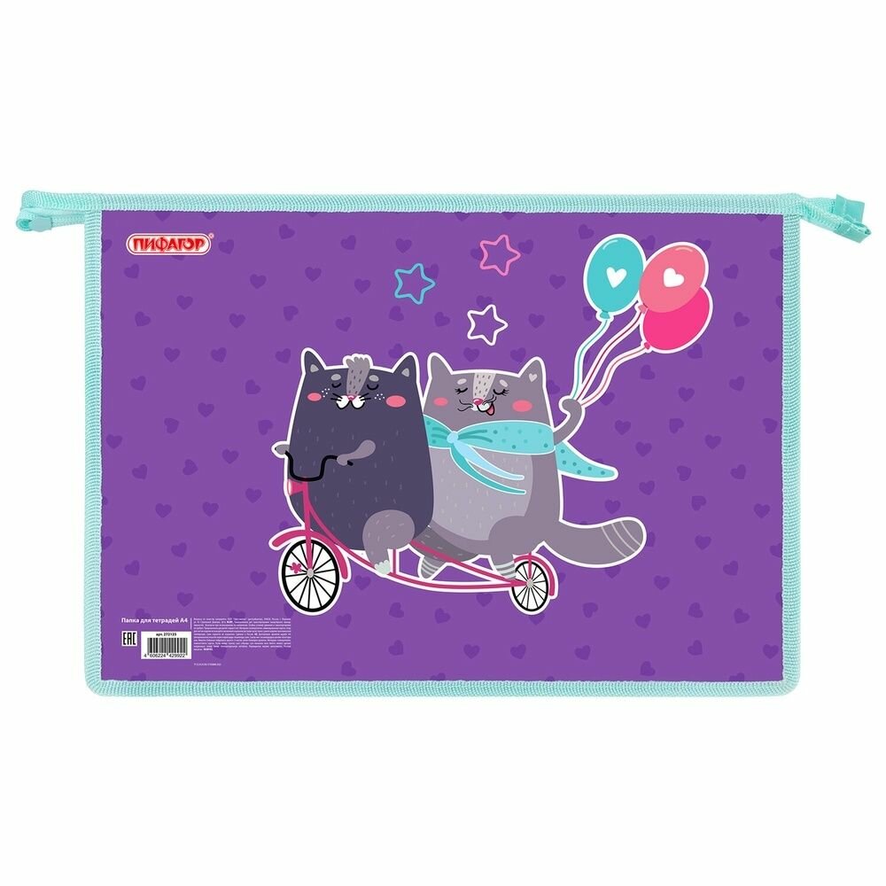 Папка для тетрадей на молнии Пифагор А4, 1 отделение, картон/пластик, "Bike cats"