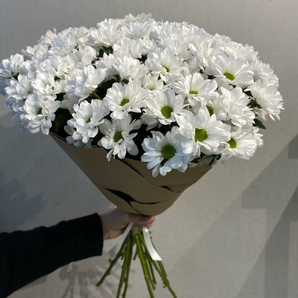 Белая хризантема кустовая 15шт