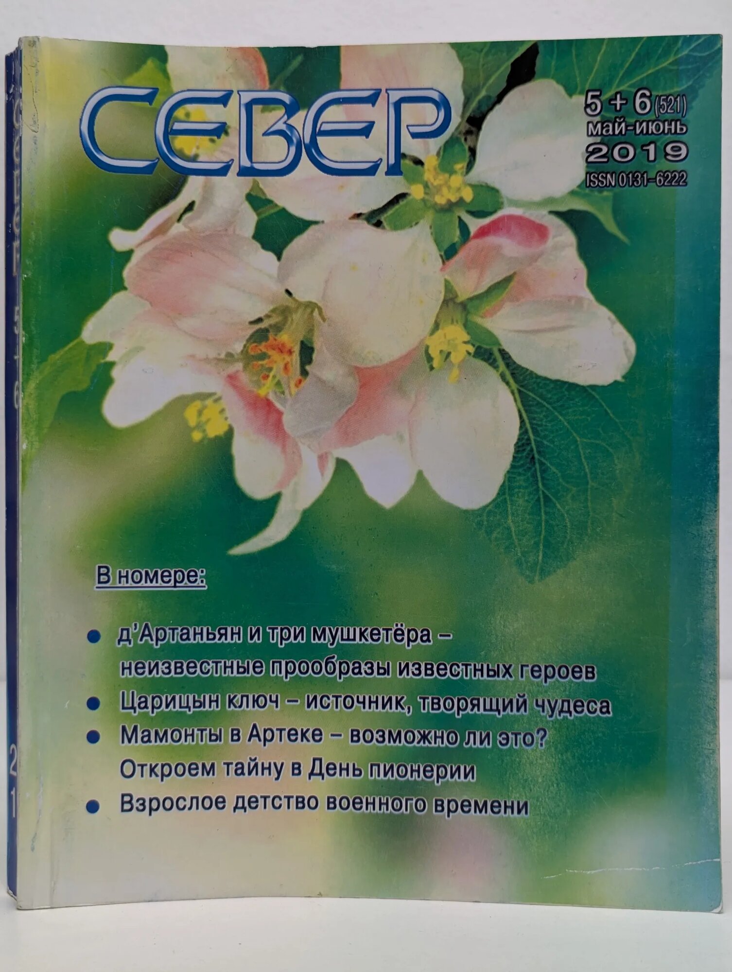 Север. Выпуск № 5-6/2019 2019
